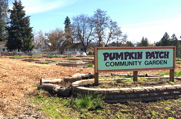 Community gardening: a delicious pursuit to feed the hungry and the ...