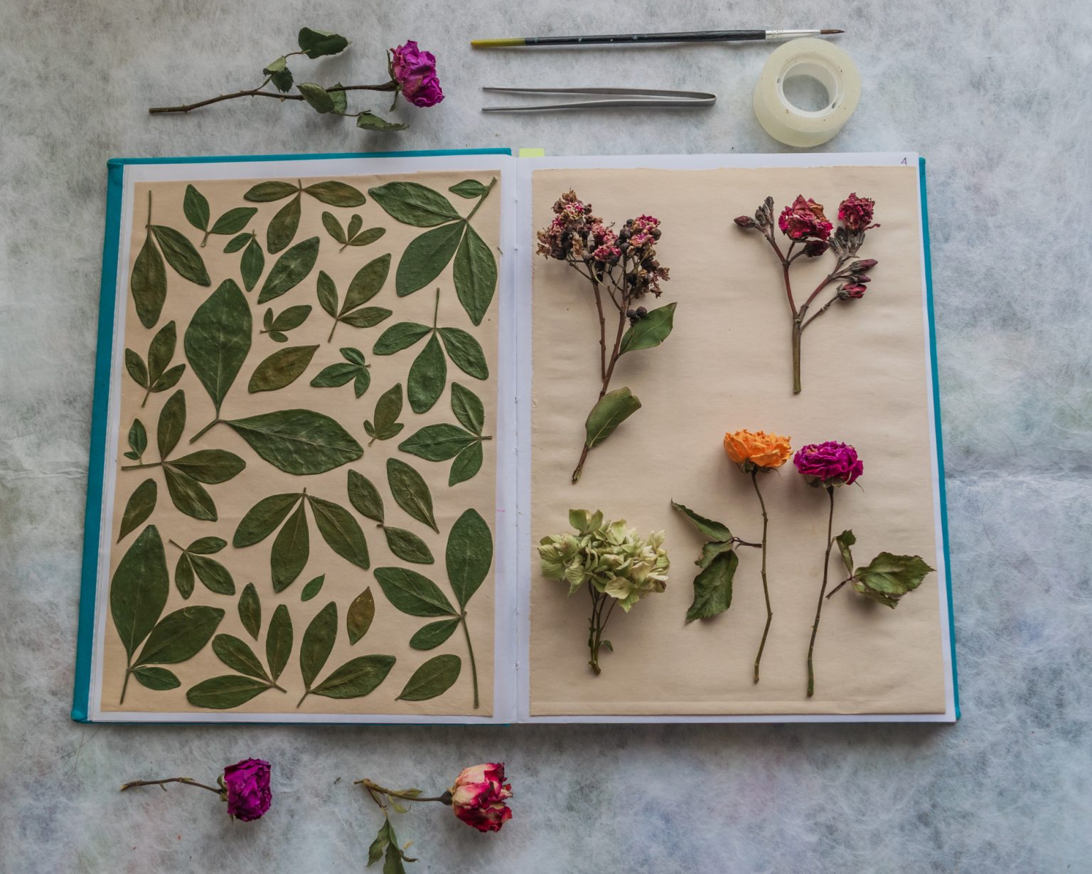 Seize September: Create, Learn & Thrive with These Library Programs ...