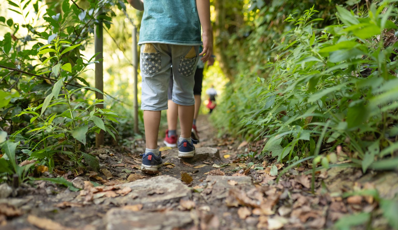 Discover Free Summer Fun: Level Up at Your Library with Programs for ...